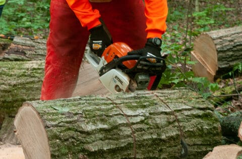 Chainsaw Training | Green Durham Association